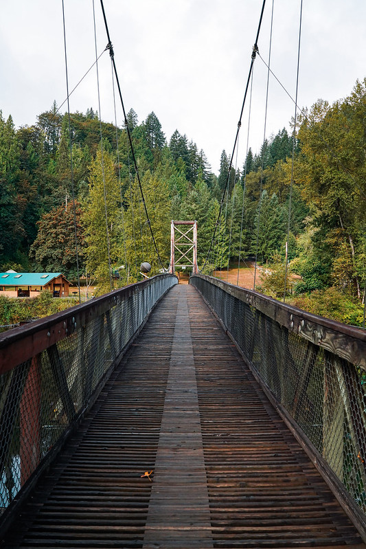 10 Easy Hikes Near Seattle - Lively by Laura