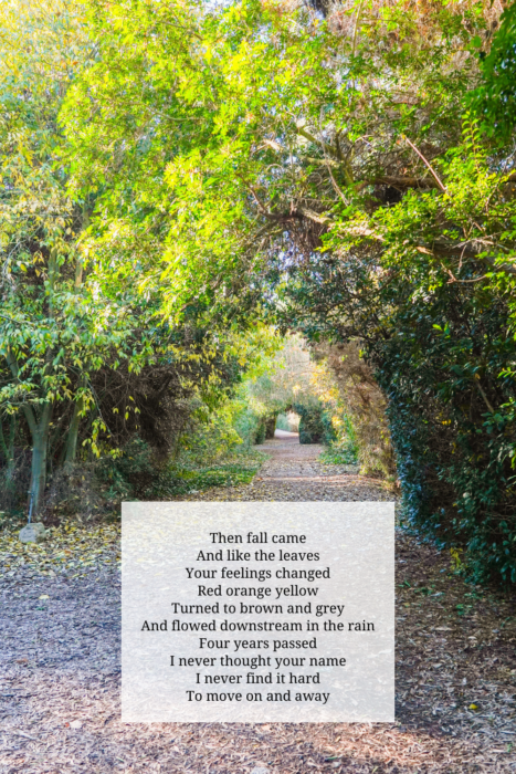 Poetry Drop: Folklore Edition - Lively by Laura
