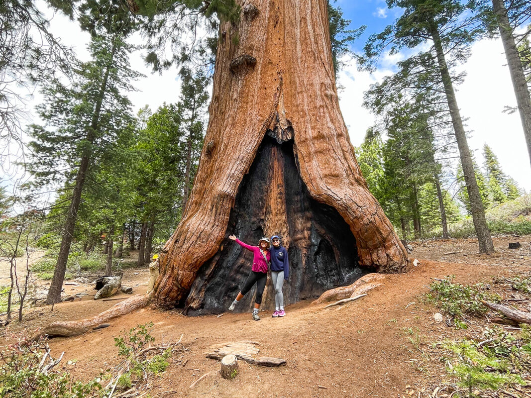 2 Days in Sequoia and Kings Canyon National Parks - Lively by Laura
